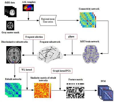 Frontiers | Classification of Alzheimer's Disease, Mild Cognitive Impairment, and Normal ...